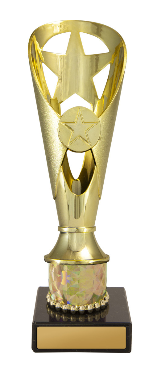 1102G-2: Avenger Cup