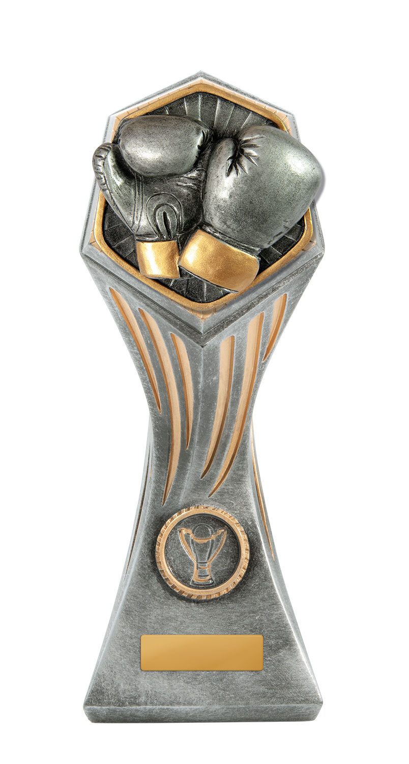 22E-RI32G: Gladiator Tower-Boxing