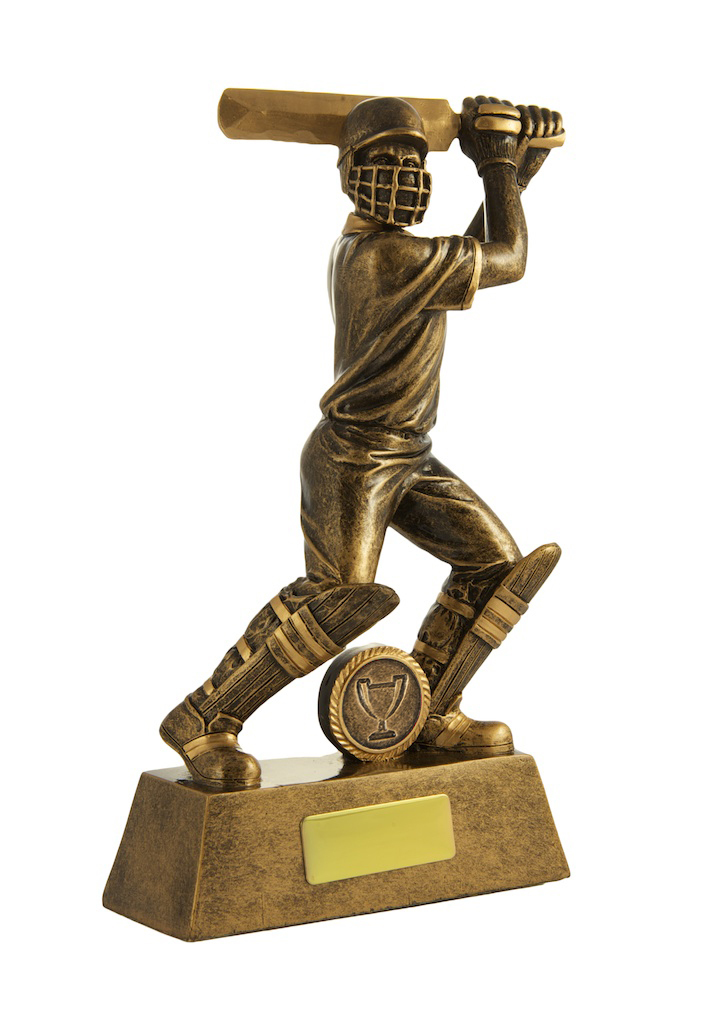 All Action Hero-Batsman