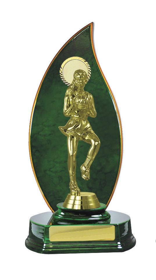 N24-2302GN : Timber Buildup Netball