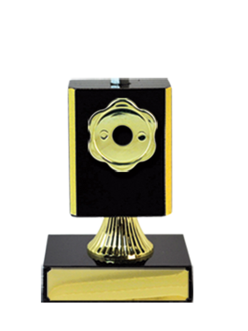 T-Block-DK-C: Timber Block-Dark Rosewood-Size C